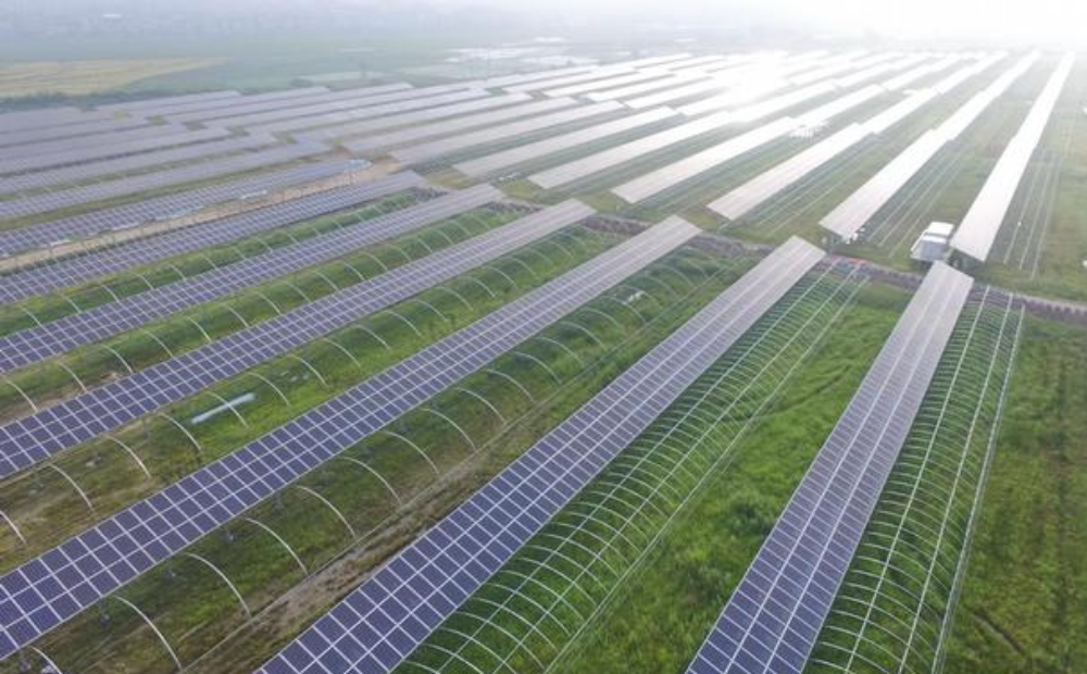 Agrivoltaica: ¿Qué es y por qué es el futuro de la agricultura en Perú ...